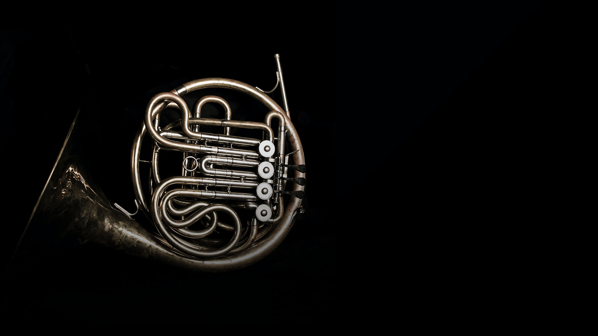 Discover the Music | San Francisco Symphony