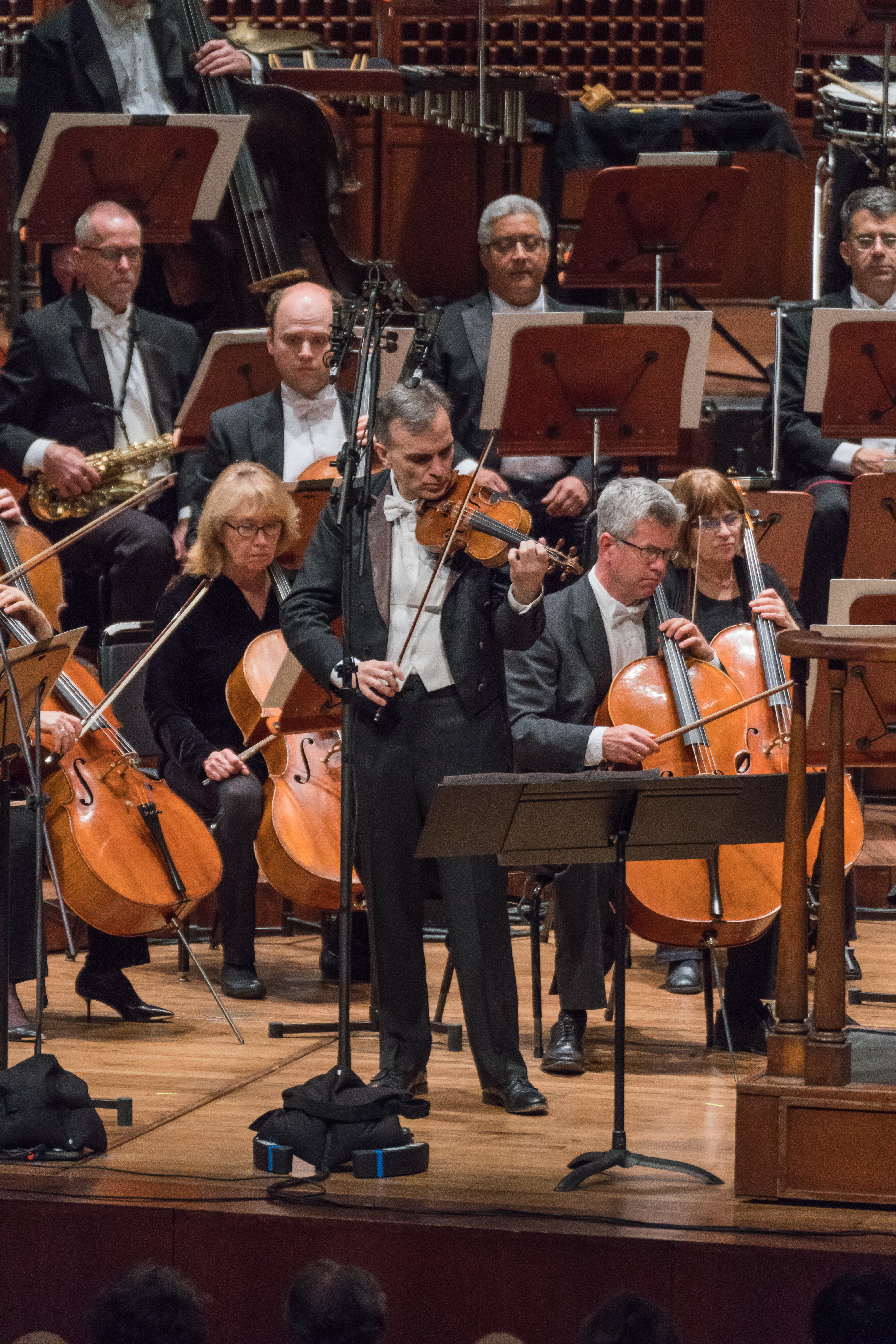 San Francisco Symphony - SFS Media Berg 2021
